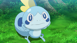Sobble | Pokémon Wiki | Fandom