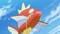 Magikarp | Pokémon Wiki | Fandom