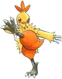 Combusken | Pokémon Wiki | Fandom