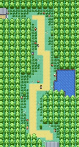Route 302 | Pokemon Zeta Omicron Wiki | Fandom