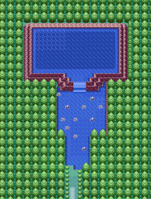 Route 305 | Pokemon Zeta Omicron Wiki | Fandom