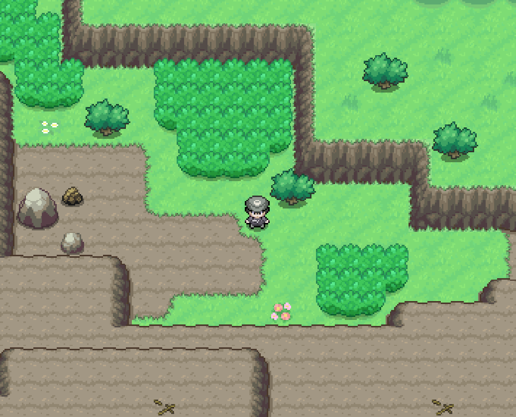 Route R8 | Pokengine Wiki | Fandom