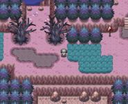 Borovia - Backwoods | Pokengine Wiki | Fandom