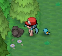 Hidden Items | PokéOne Wiki | Fandom