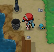 Hidden Items | PokéOne Wiki | Fandom