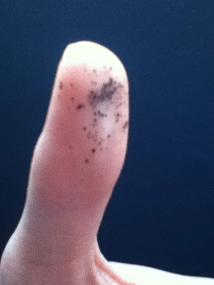 Pokemon Void | Pokepasta Wiki | Fandom