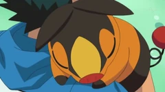 Pignite de Ash/Galeria | PokéPédia | Fandom