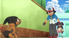 Pignite de Ash/Galeria | PokéPédia | Fandom