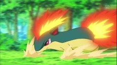 Quilava de Ash/Galeria | PokéPédia | Fandom