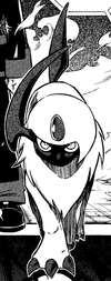 Absol | PokéPédia | Fandom