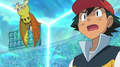 Noctowl de Ash/Galeria | PokéPédia | Fandom