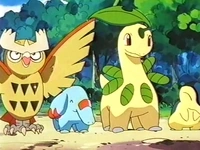 Bayleef de Ash/Galeria | PokéPédia | Fandom