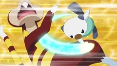 Oshawott de Ash/Galeria | PokéPédia | Fandom