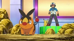 Pignite de Ash/Galeria | PokéPédia | Fandom