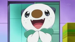 Oshawott de Ash/Galeria | PokéPédia | Fandom