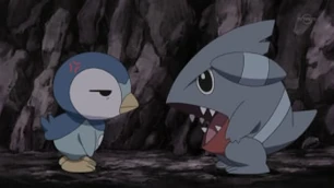 Gible de Ash/Galeria | PokéPédia | Fandom