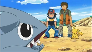 Gible de Ash/Galeria | PokéPédia | Fandom