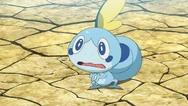 Goh (anime) | PokéPédia | Fandom