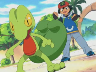 Sceptile de Ash/Galeria | PokéPédia | Fandom
