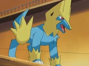 Manectric | PokéPédia | Fandom