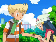 TwinLeafShipping | Pokemon Shipping Wiki | Fandom