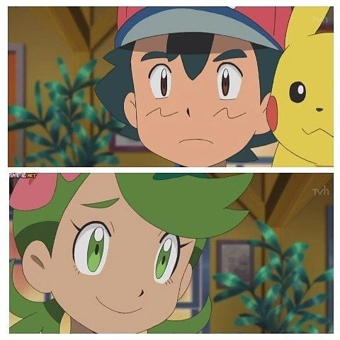 Alohashipping | Pokemon Shipping Wiki | Fandom