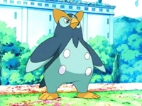 Prinplup de Jose | PokeStory Wiki | Fandom