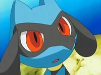 Daniel | PokeStory Wiki | Fandom