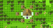 Regi Forge | PokeWilds Wiki | Fandom