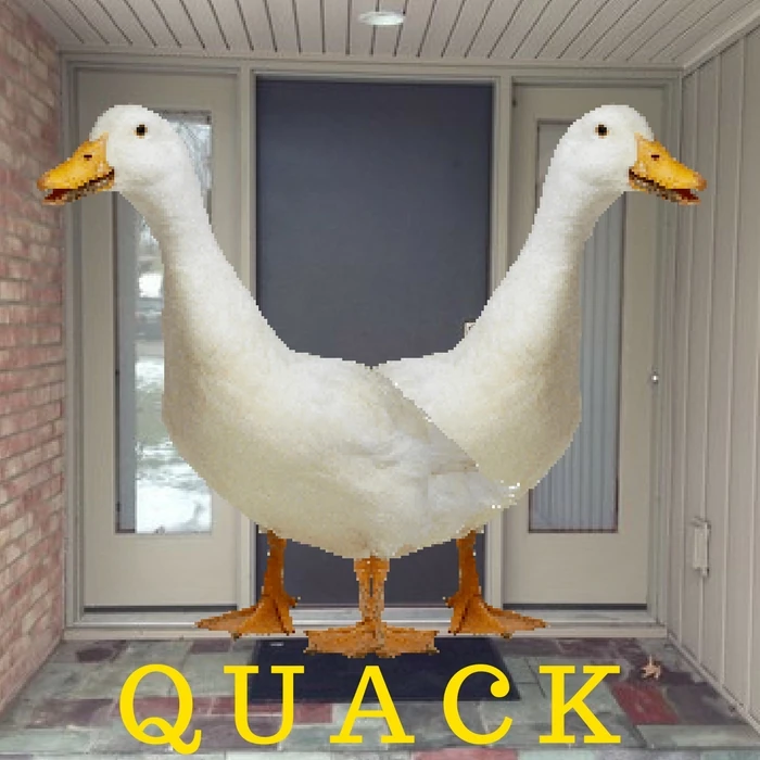 Quackers Duck Association | Pokle's Non Original Wiki | Fandom