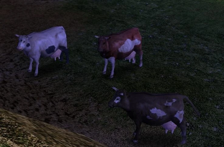 Krowa | Polanie 2 Wiki | Fandom