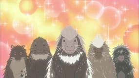 Yama Arashi | Polar Bear Café | Fandom