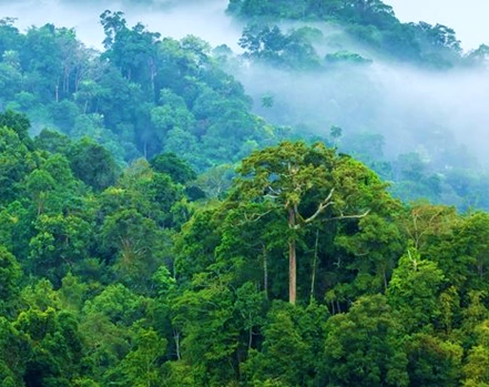 Waythmet | Polaris Database Wiki | Fandom