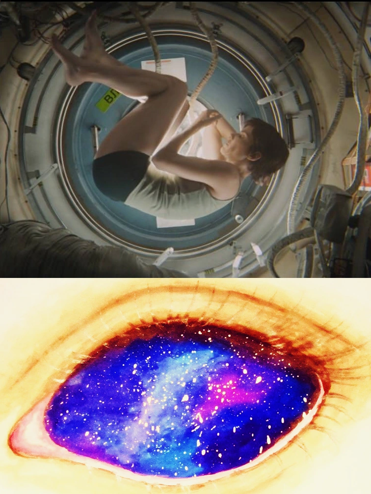 Stasis | Polaris Database Wiki | Fandom