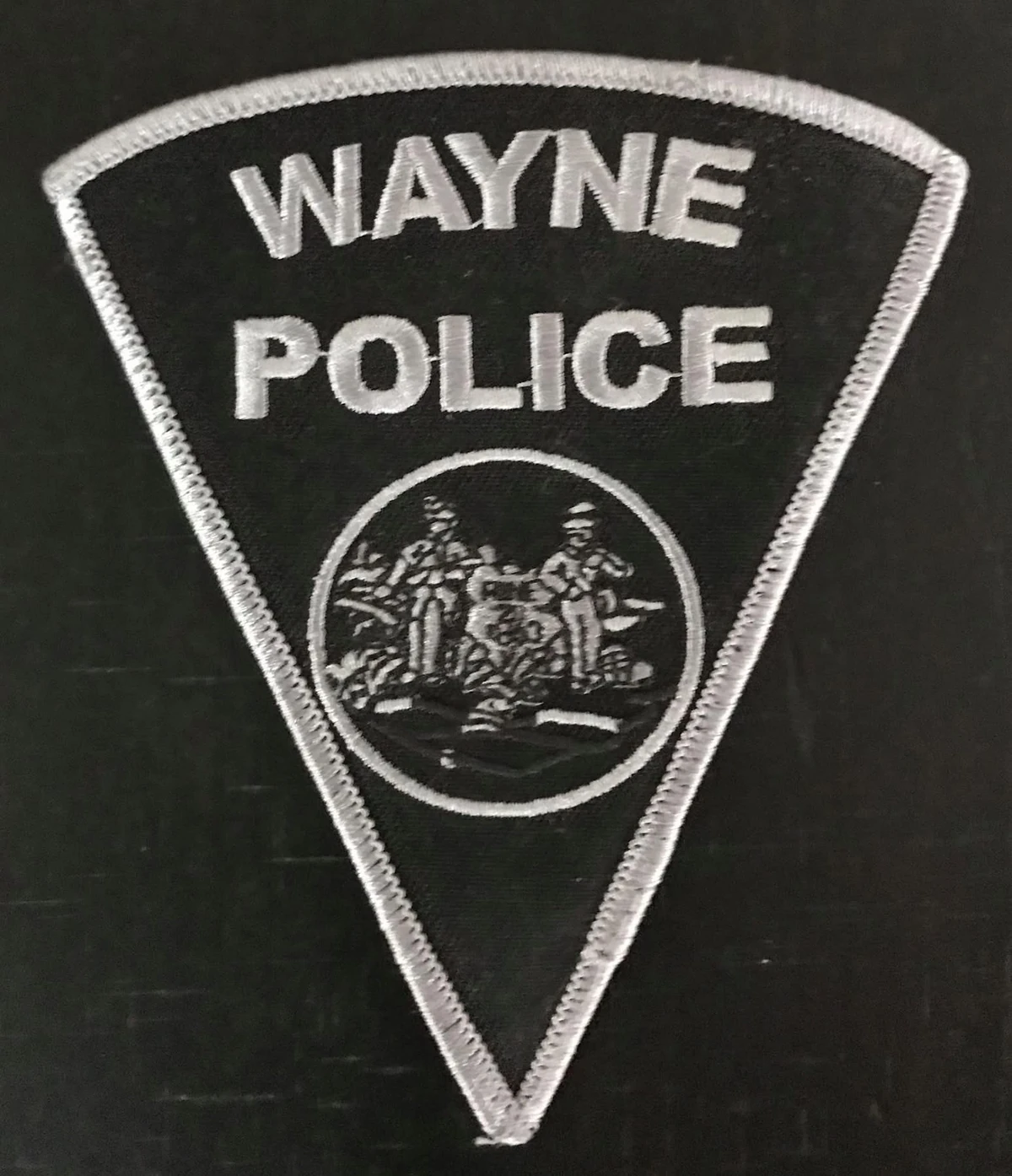 Wayne Police Department (West Virginia) | Police Wiki | Fandom
