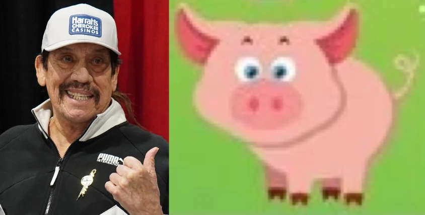 Cerdo | Wiki Pollito Pio | Fandom