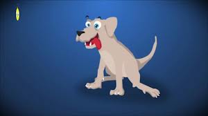 Perro | Wiki Pollito Pio | Fandom