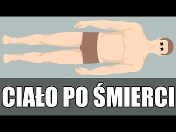 Nie wiem, ale się dowiem! | YouTube Wiki | Fandom