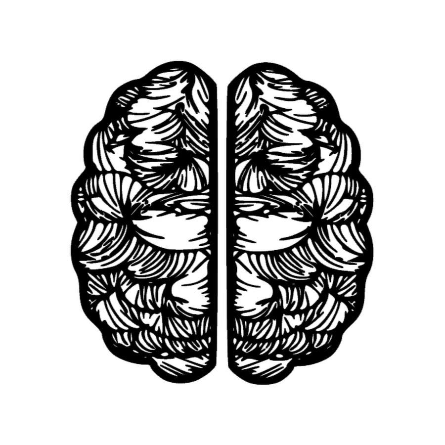 Nie wiem, ale się dowiem! | YouTube Wiki | Fandom