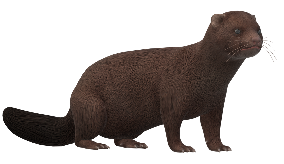 Minky | Polvina and the Errors Wiki | Fandom