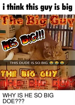 I Turned My Viewers Cats Into Memes | Polygon Donut Wiki | Fandom