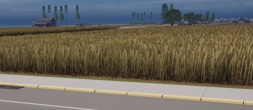 Wheat | Poly Plaza Wiki | Fandom