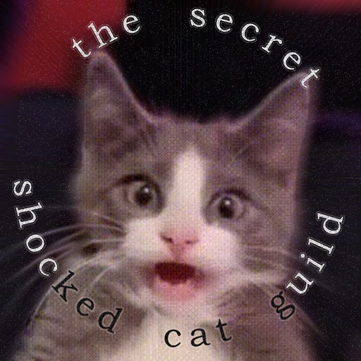 𝚝𝚑𝚎 𝚜𝚎𝚌𝚛𝚎𝚝 𝚜𝚑𝚘𝚌𝚔𝚎𝚍 𝚌𝚊𝚝 𝚐𝚞𝚒𝚕𝚍 | Polytoria Wiki | Fandom