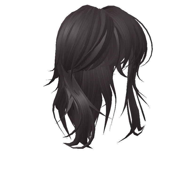 Split Middle Long Black Hair | Polytoria Wiki | Fandom