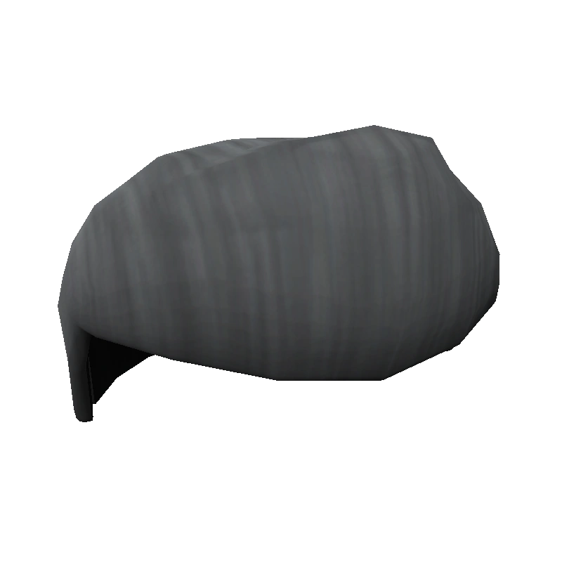 Gray Boss Hair | Polytoria Wiki | Fandom