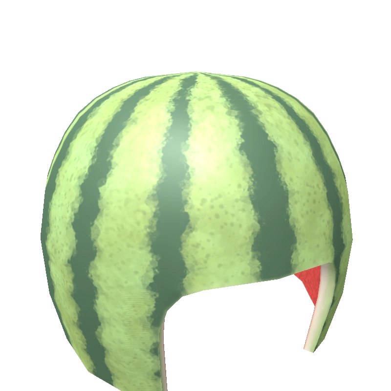 Watermelon Helmet | Polytoria Wiki | Fandom