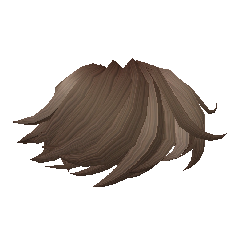 Brown Messy Hair | Polytoria Wiki | Fandom