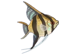 Kin Fish | Pondlife Wiki | Fandom