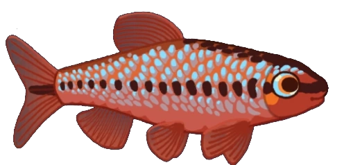 Festive Fish | Pondlife Wiki | Fandom