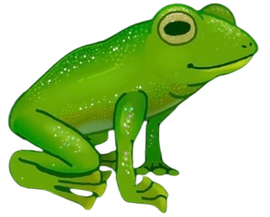 Amazon Giant Glass Frog | Pondlife Wiki | Fandom